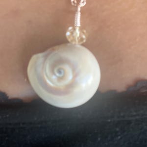 Shark Eye Shell Mermaid Necklace. Seashell Necklace. Shell Jewelry. Moon Shell Necklace. Unisex ...
