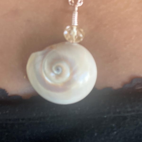 Shark Eye Shell Mermaid Necklace. Seashell Necklace. Shell Jewelry ...