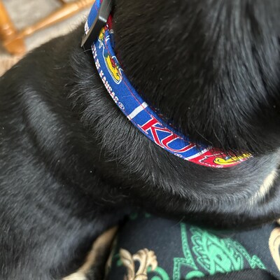 Seattle Seahawks Navy Blue NFL Dog Collar Handmade by Terri's Dog ...