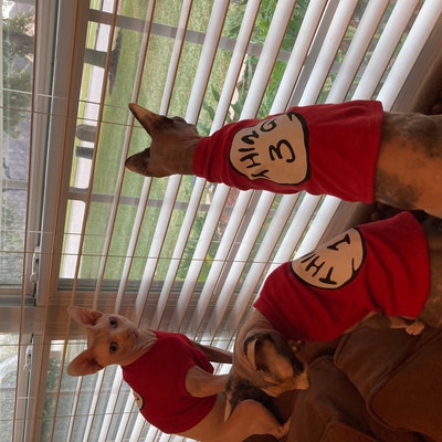 Matching Cat Tank Tops Funny Matching Cat Shirts, Matching Cat Outfit ...