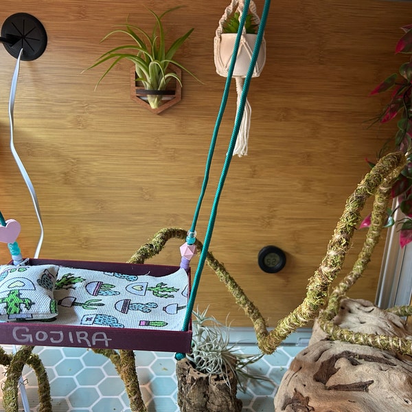 Wall Air Plant Holder Display (hanging) - Air Plant Hanger - Hexagon ...