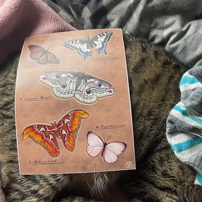 ACOTAR Valkyries A5 Postcard - Etsy