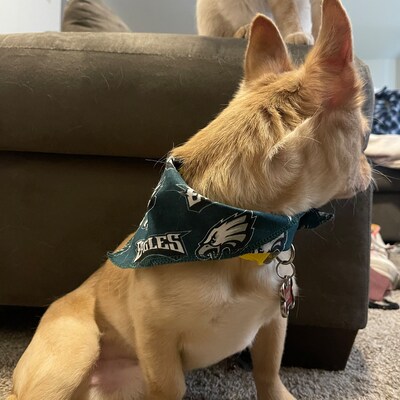 Texas Rangers Dog Cat Ribbon Bow Tie slides Onto Dog or - Etsy