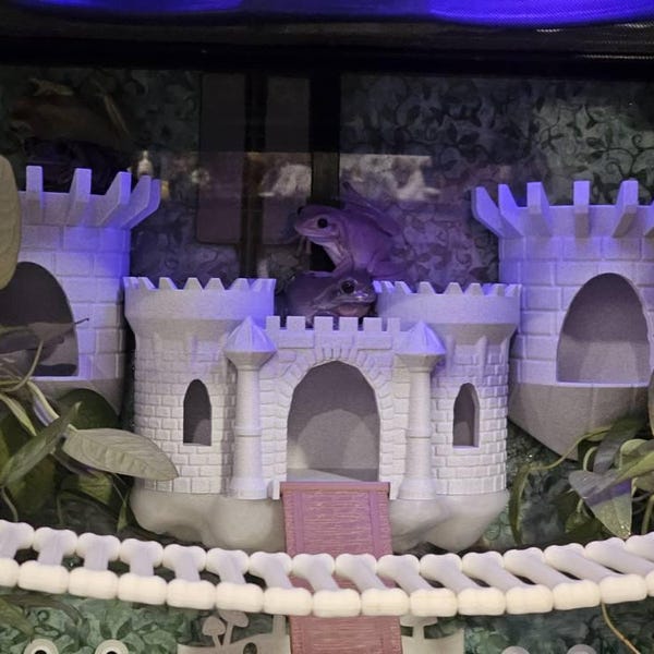 Crested Gecko and Frog Hanging Castle Tower Hide - Etsy