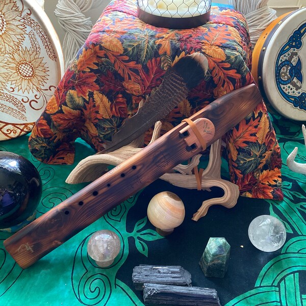 Snapping Turtle Shell Maraca Rhythm Percussion Instrument - Etsy