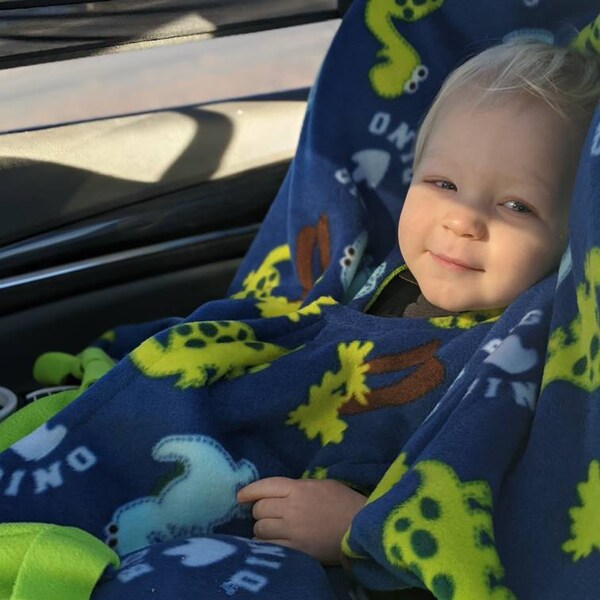 Owl - Cozy Gozy Travel Capes Are Warm Winter Fleece Car Seat Capes That ...