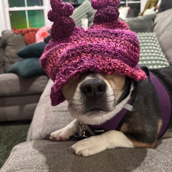 Crochet Chowder Hat Pattern - Etsy