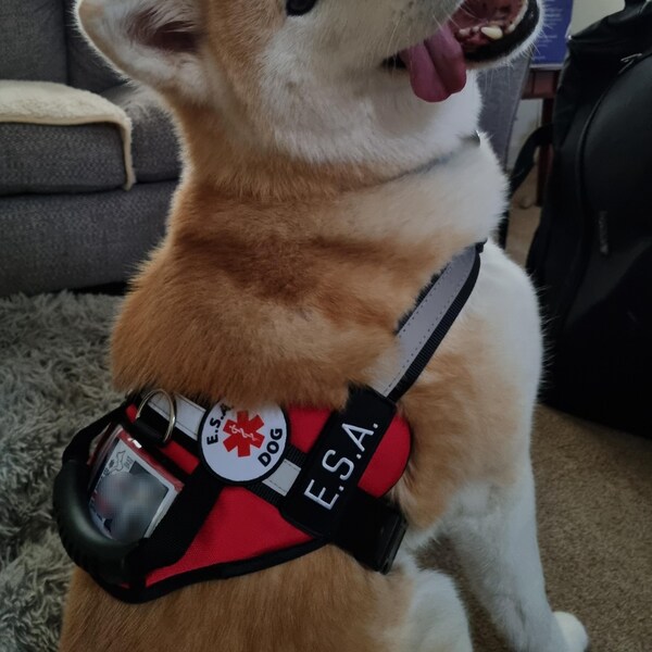Emotional Support Animal E.S.A. Dog Harness Reflective Assistance Vest ...