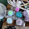 Ticklers - Etsy