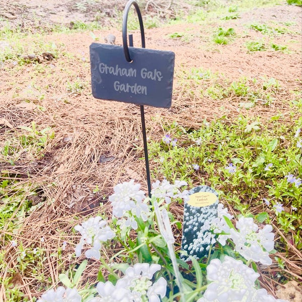 Pet Chicken Hen Memorial Garden Sign With Hanging Stake - Honor Your ...