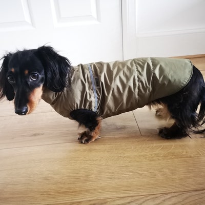 Light Jacket for Dog Raincoat for Dog Clothing for Dog Dog Wear Pet ...