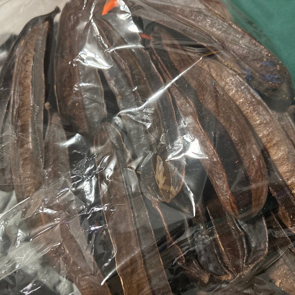 Odii Seed / Odiaba / Odiaba Seed Pods. Shake Seed Pods to Make Sounds ...