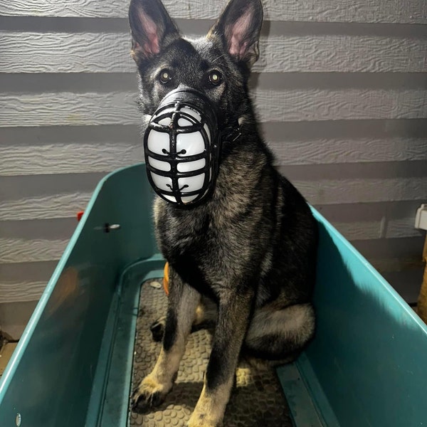 Full Grip Supply Muzzle Lick / Stool Guard - Etsy