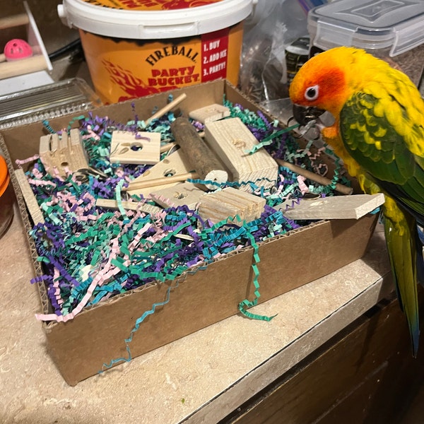 BYOT Foraging Flat - "block Party" - Interactive, Pre-made Foraging ...