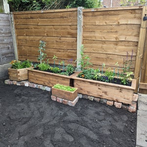 Charles Taylor 3 Piece Wooden Veg Trough Planter Set. - Etsy UK