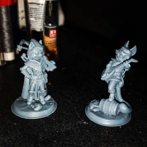 Bard Catfolk • Tabaxi • Cat • KAW • Miniature • 3D Resin Printed 28 ...