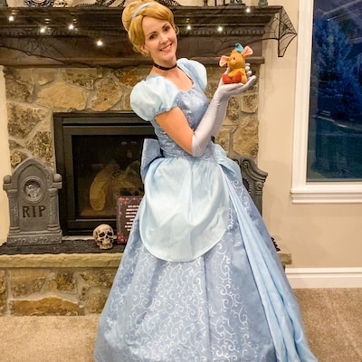 LAST ONE Cinderella Gown Costume DELUXE Adult Version Custom Cosplay ...