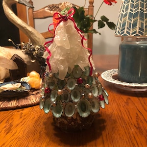 Green Limpet Seashells 0.50-1.25 Green Limpet Bulk-craft Seashells ...