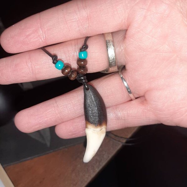 Large Wolf Tooth Necklace Wolf Teeth Necklace Wolf Necklace Wolf Tooth ...