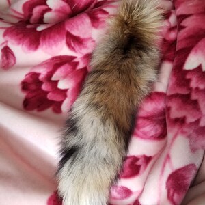 Beaver Fur Can and Bottle Cooler/cozy With Pink Neoprene Insert listing ...