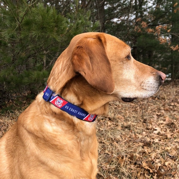 US Coast Guard Dog Collar With Optional Matching Leash ALL SIZES - Etsy
