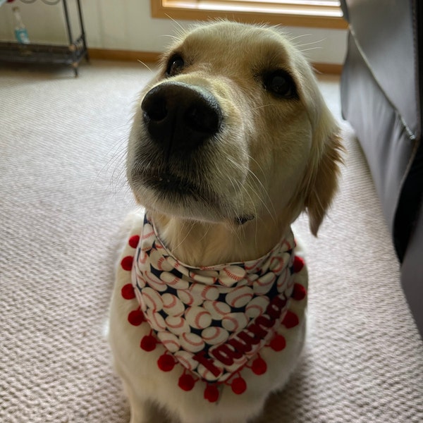 Snap On...baseball Dog Bandana...optional Pom Trim…name Included - Etsy