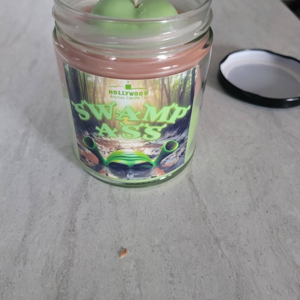 Fionas Fairytale shrek Candle Gift for Her Cotton Candy Soy Candle ...