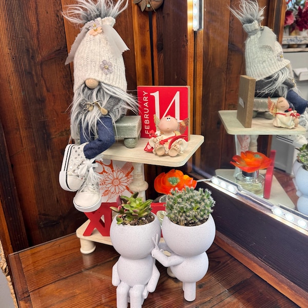 Wee Jimmy Dino Rider Dinosaur Brachiosaurus Diplodocus Succulent Plant ...