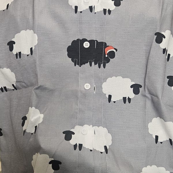 Ragdoll Car Sunshade, Ragdoll Cat Gift, Ragdoll Car Decor, Ragdoll Auto ...