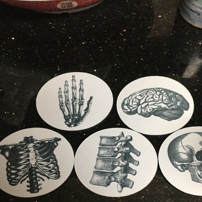 Anatomy Coasters Hostess Gift Graduation Doctor Nursing Medical Student ...