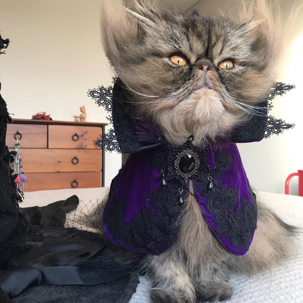 The Rubylola Reversible Cape Cat Costume, Dog Outfit, Gatsby Cape, Dog ...