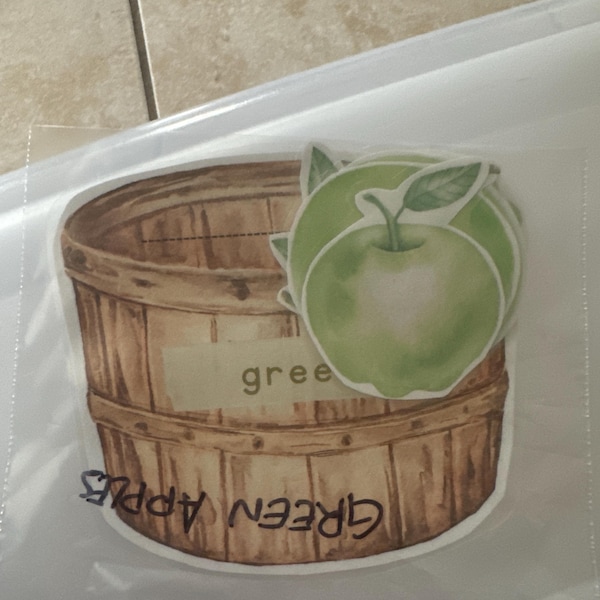 Bat Unit Study Bundle, Bat Study, Bat Life Cycle, Fall Montessori Unit ...