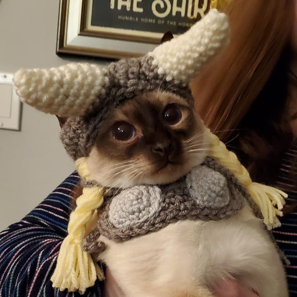 Brunhilde, Vikings, Valkyries, Wagner Opera, Hats for Cats, Pet Hats ...