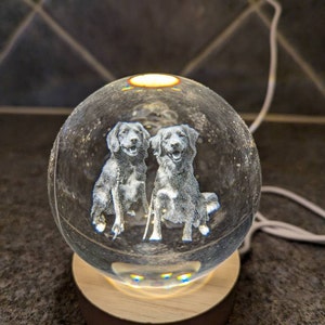 Custom Engraved Crystal Photo Pet Memorial Decor, Personalized Animal ...