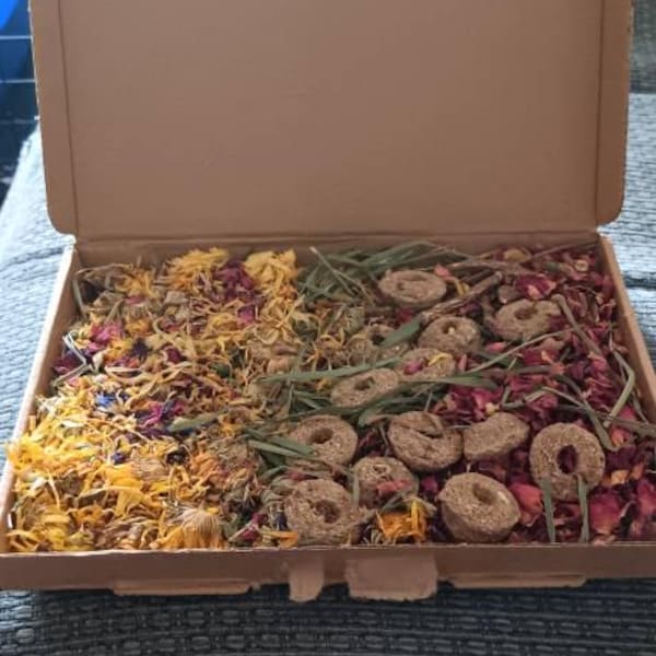Forage Box | Rabbits, Guinea Pigs, Hamsters, Rats - Etsy UK