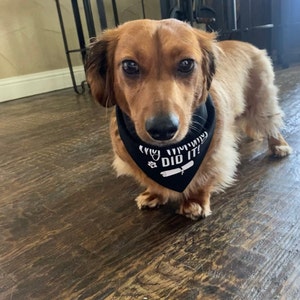 Cute Halloween Dog Bandana Witch Dog Bandana Whoa Dog E - Etsy