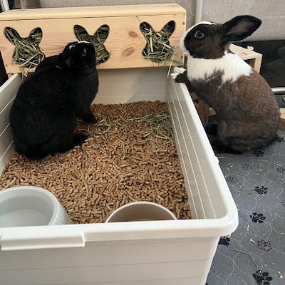 Rabbit Hay Feeder With Litter Box, Made by Asaswood - Etsy