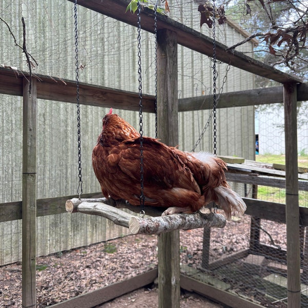 Extra Large Squirrel House, Squirrel Nesting Box, Wooden Squirrel ...