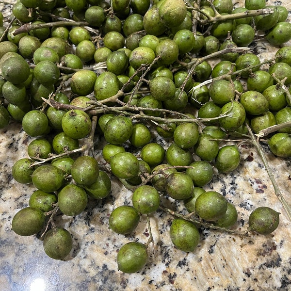 The Pinkglow® Pink Pineapple Gift Box - Etsy