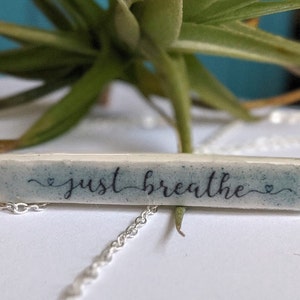 Tillandsia Stricta Iridescent Air Plants - Etsy