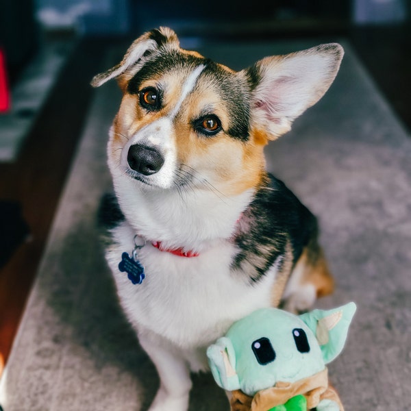 Outer Banks Digital Download, DIY Print Your Own Wall Art, OBX Photo of ...