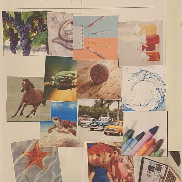 LIVING and Non-living Sorting Cards Montessori Activity Preschool ...