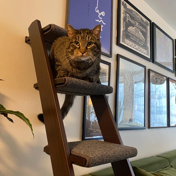 Cat Ladder - 6 Step Pine, Customizable | Perfect for Renters - No ...