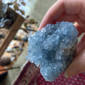 Witches Wart Stone, Unique Moroccan Chalcedony Cluster, Raw Truffle ...