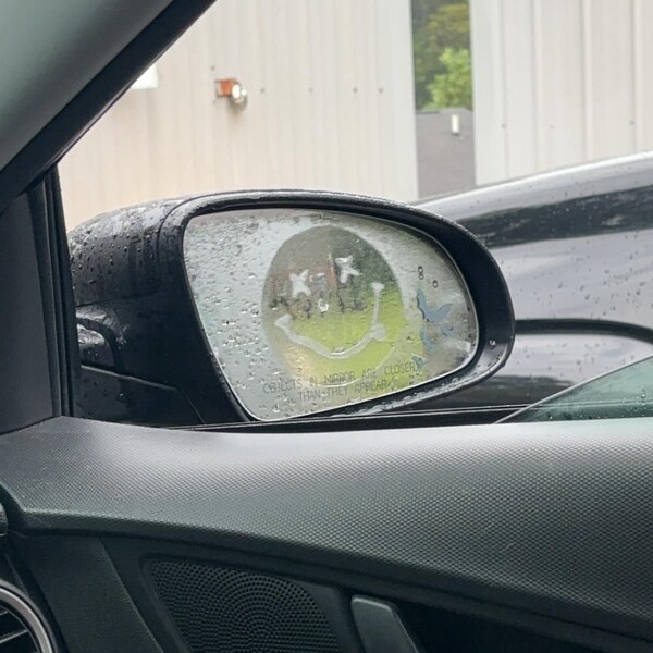 Daisy Flower Mirror Peeker 2pcs Anti Rain Anti Fog Car Decal Discreet ...