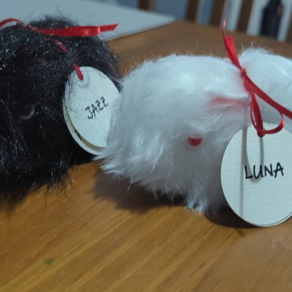 MOUSE or RAT COIN Purse Embroidered and Handmade - Etsy