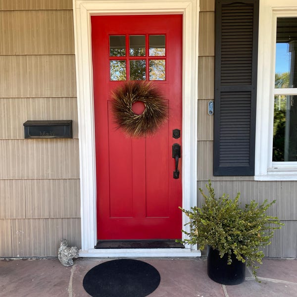 16" Light Pink Billy Buttons, Pink Dried Craspedia, Pink Billy Balls ...