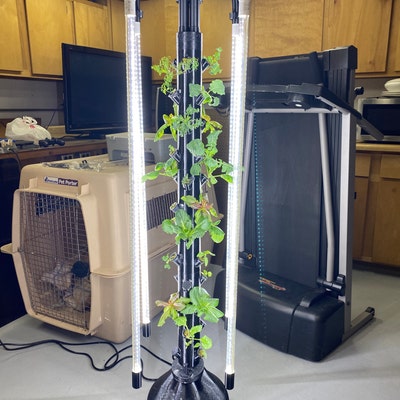 16 Variety Seed Sampler Tested for Hydroponic Gardening. A Mix of ...