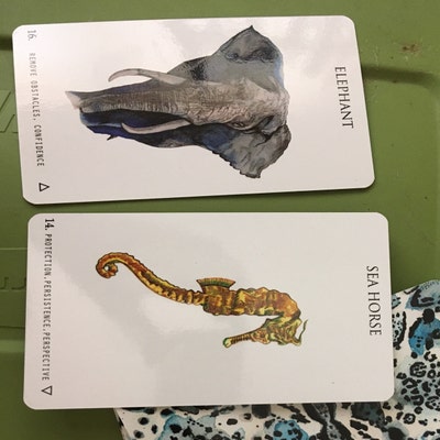 The Ceremonial Power Animals Oracle Cards Vol. II Deck, Oracle Cards ...