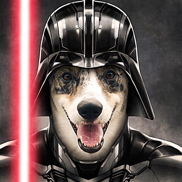 Custom Star Wars Pet Portrait, Luke Skywalker Dog Portrait, Star Wars ...